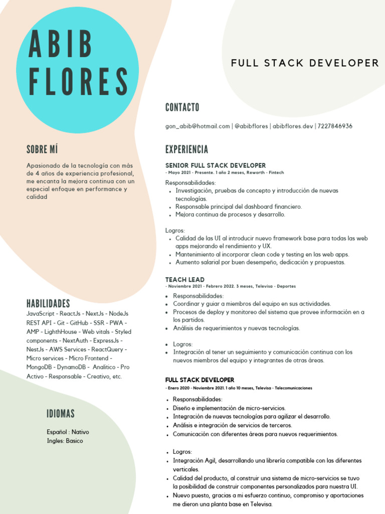 Abib Flores CV | PDF
