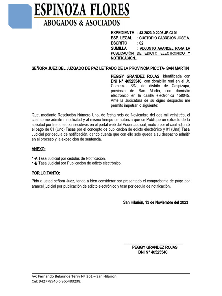 Adjunto Arancel para La Publicación de Edicto Electronico. | PDF