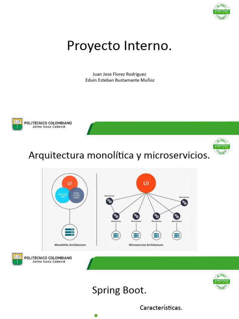 PPI Proyecto Interno | PDF | Informática
