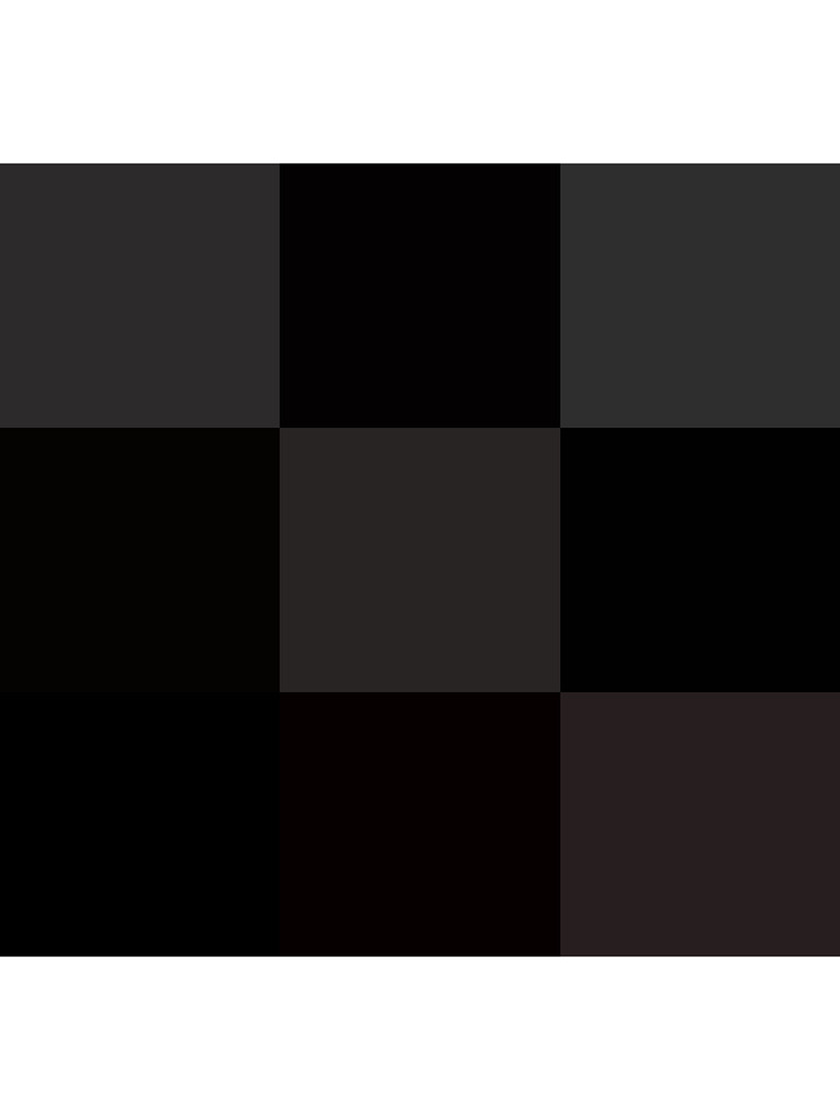 Color_icon_black.svg | PDF