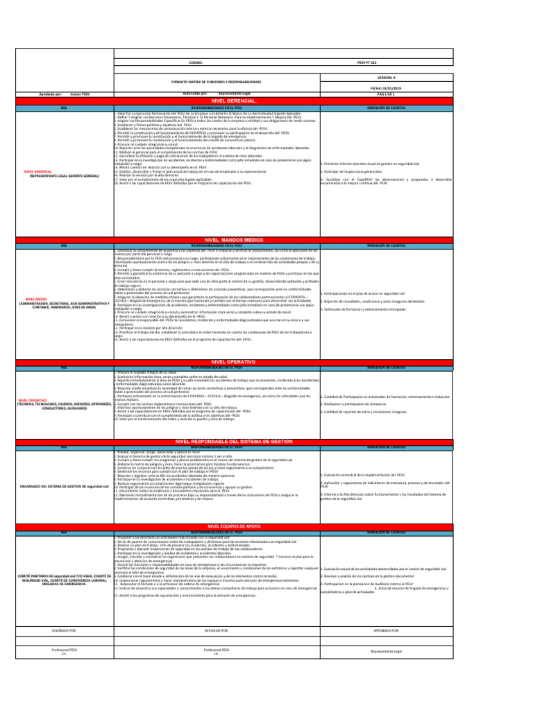2 SGSST-FT 012 Formato Matriz de Funciones y Responsabilidades | PDF ... 2 SGSST-FT 012 Formato Matriz de Funciones y Responsabilidades | PDF ...