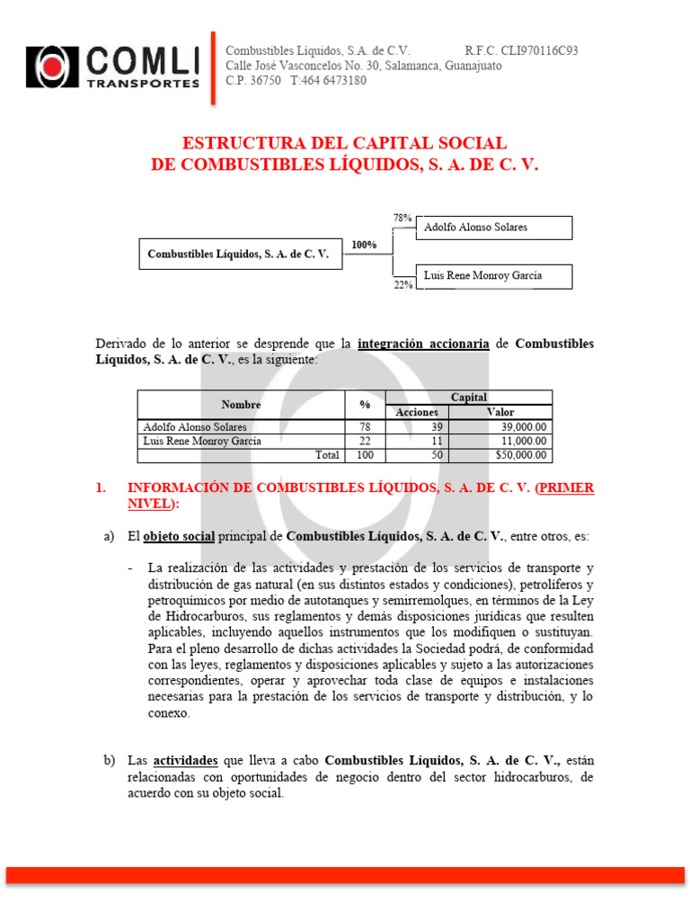 2.1.a Diagrama de Estructura de Capital Social | PDF
