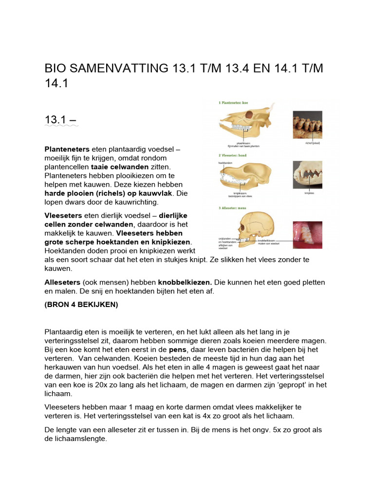 Kopie Van Kopie Van Kopie Van BW 4 Bio Samenvatting | PDF