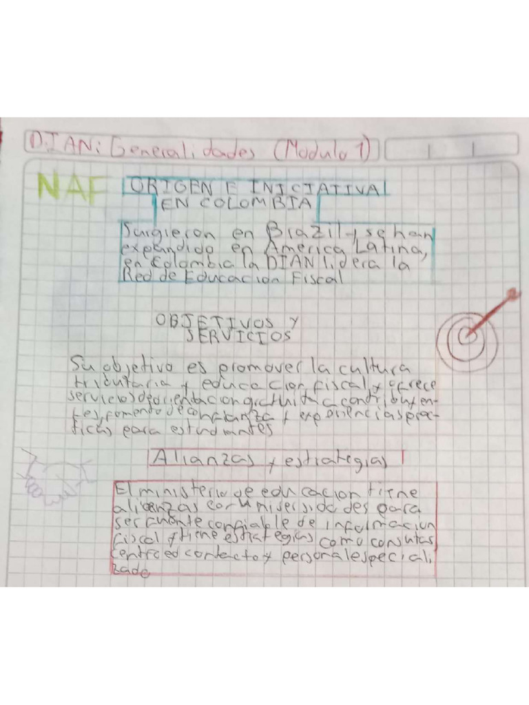 Plan de Mejoramiento Naf Joel Niño | PDF