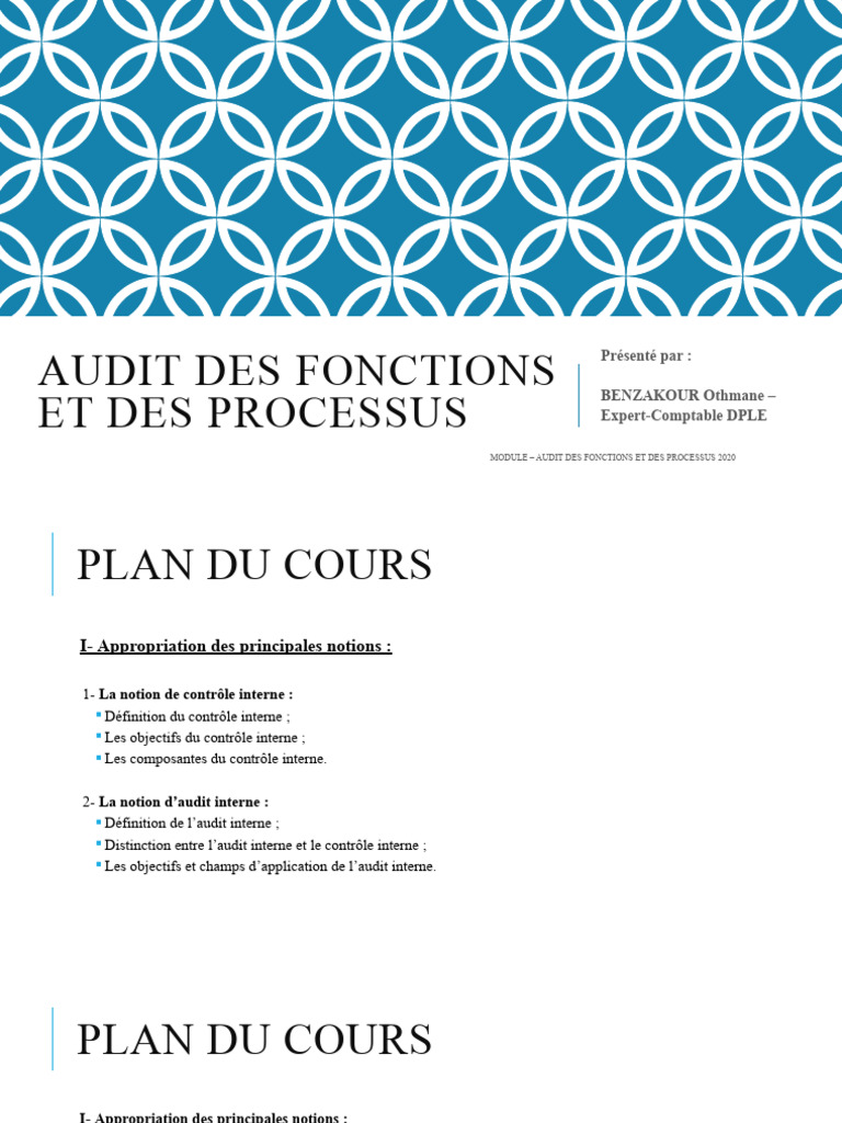 ESCA - Audit Des Fonctions Et Des Processus | PDF