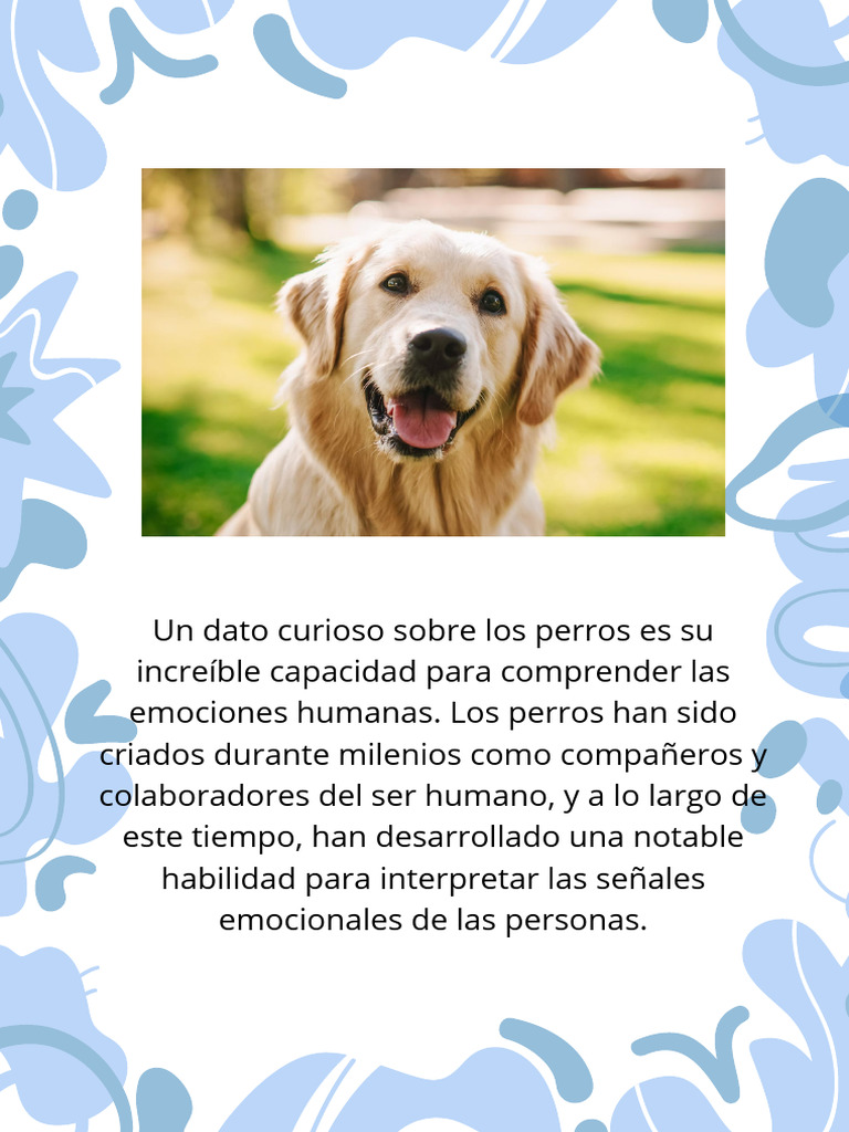 Dato Curioso Sobre Los Perros | PDF