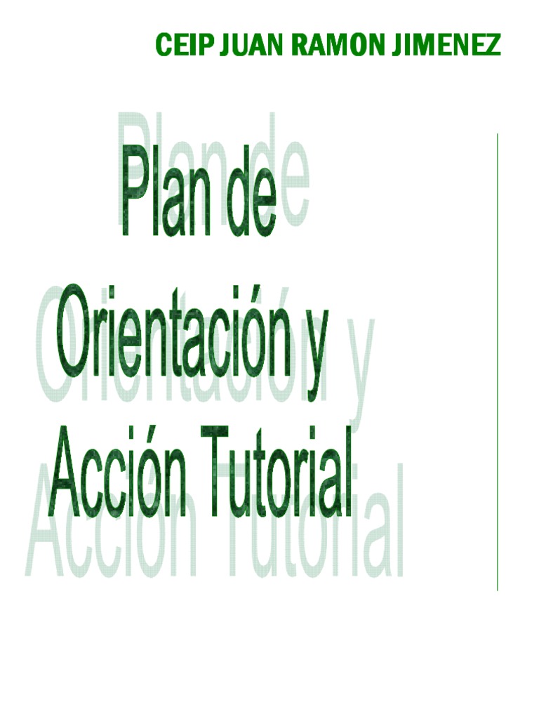 Plan de Orientacion y Accion Tutorial | PDF | Educación especial | Maestros