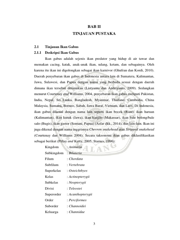 Jiptummpp GDL Aldilaayuw 46877 3 Babii | PDF