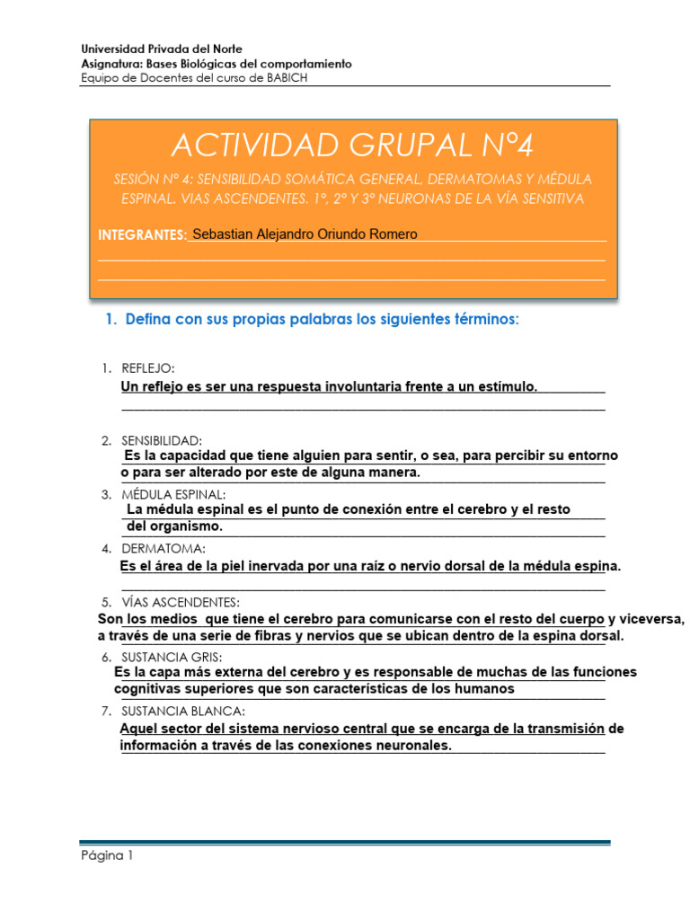 Actividad Grupal #4 | PDF