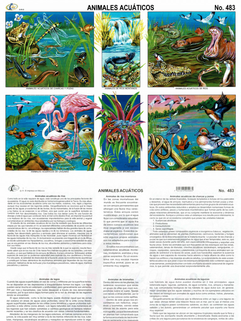 Diversidad de Animales Acuáticos | PDF