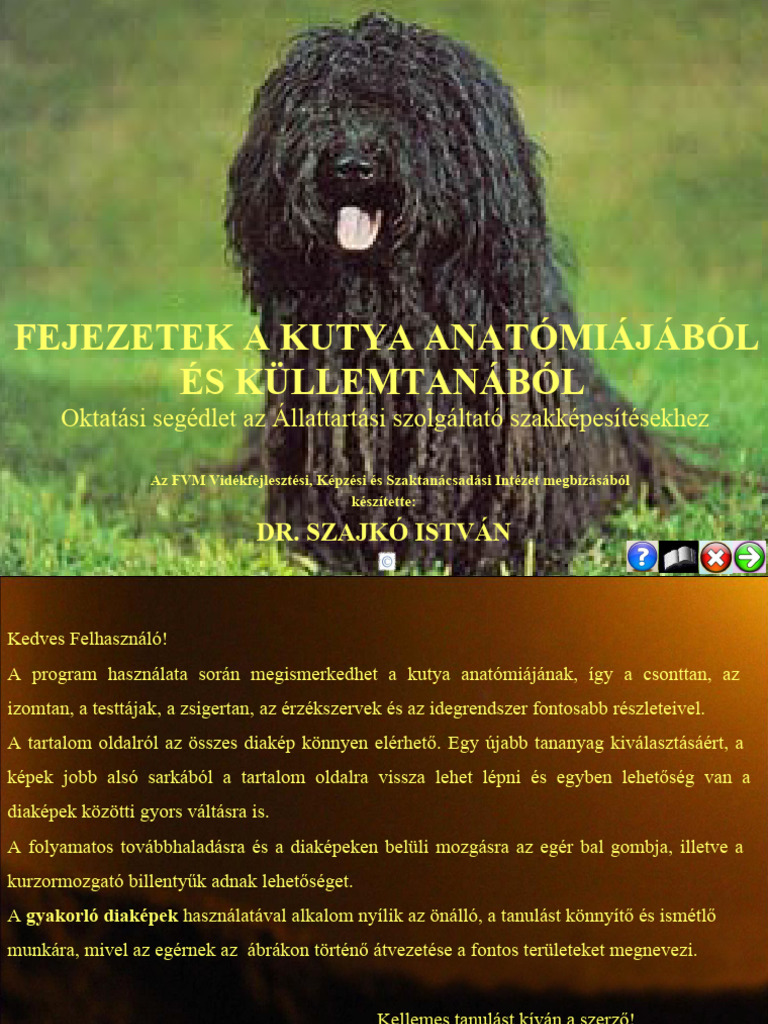 A Kutya Anatómiája | PDF