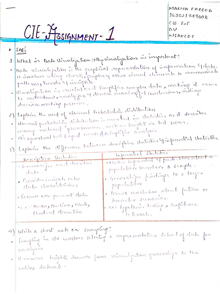DV Assignment 1 | PDF