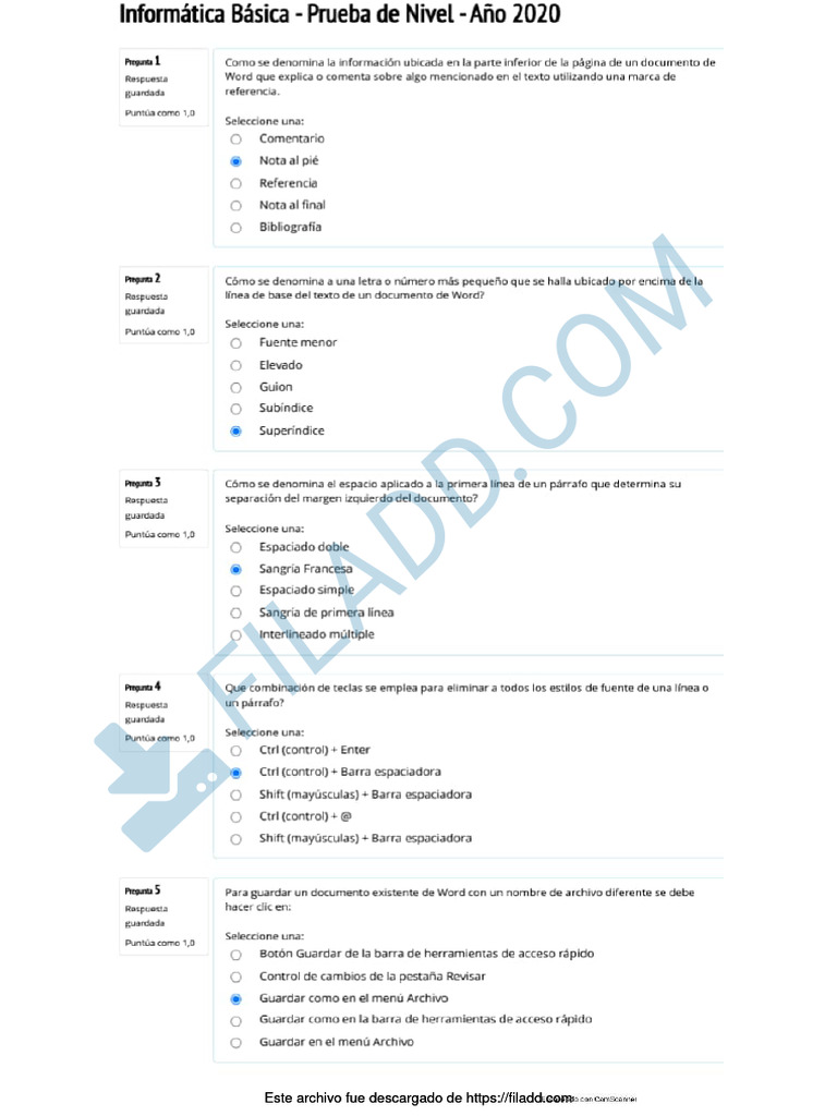 Informatica Basica Final | PDF