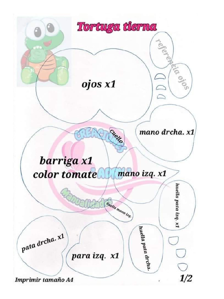 Tortuga Moldes | PDF