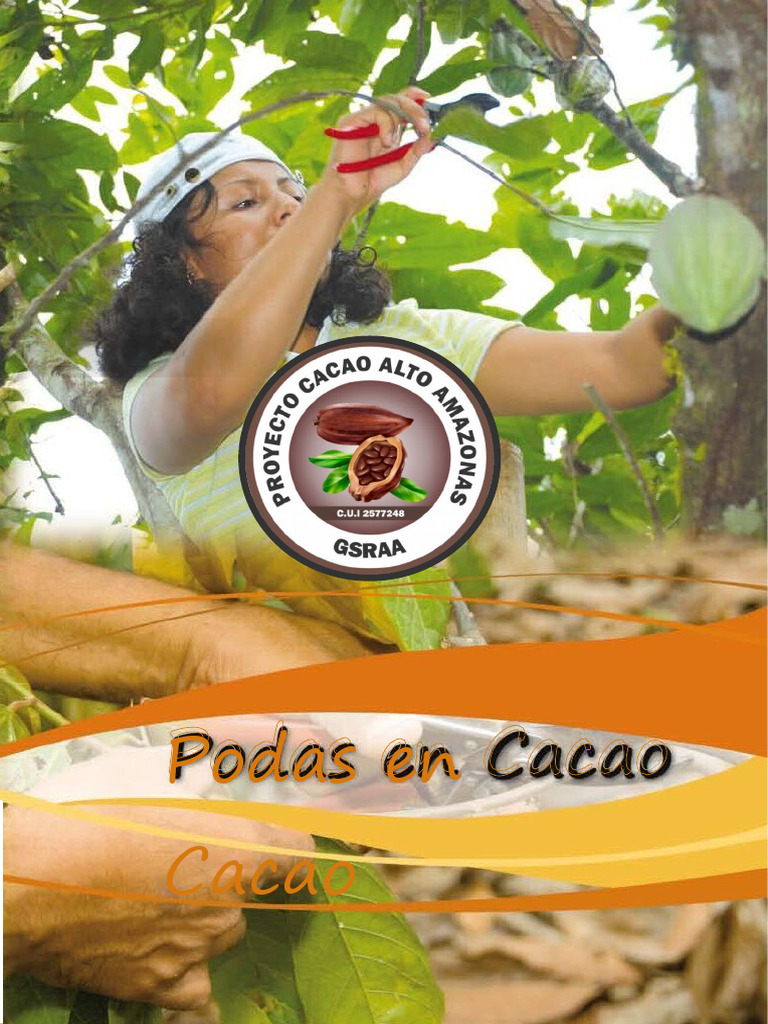 Podas Cacao | PDF | Arboles | Poda