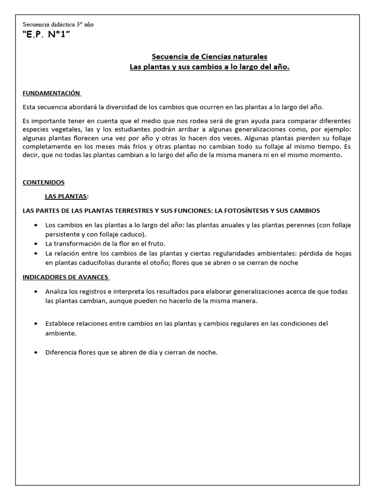 Cambios en las Plantas Durante el Año | PDF | Plantas | Arboles
