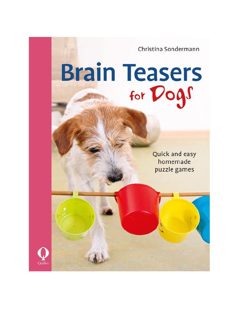 Brain Teaser For Dogs | PDF