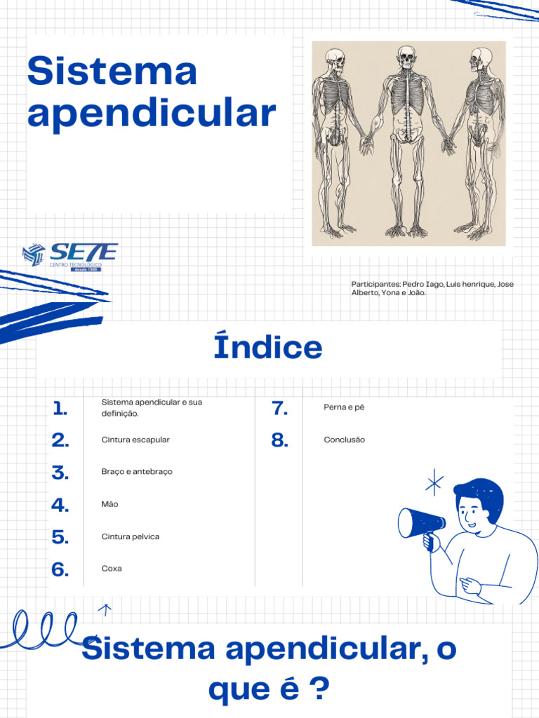 Sistema Apendicular | PDF