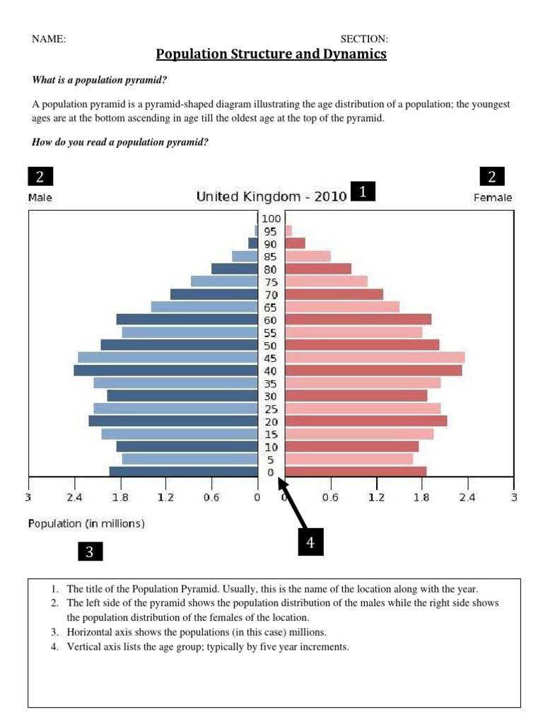 Activity 2 - Population Pyramids | PDF | Economies