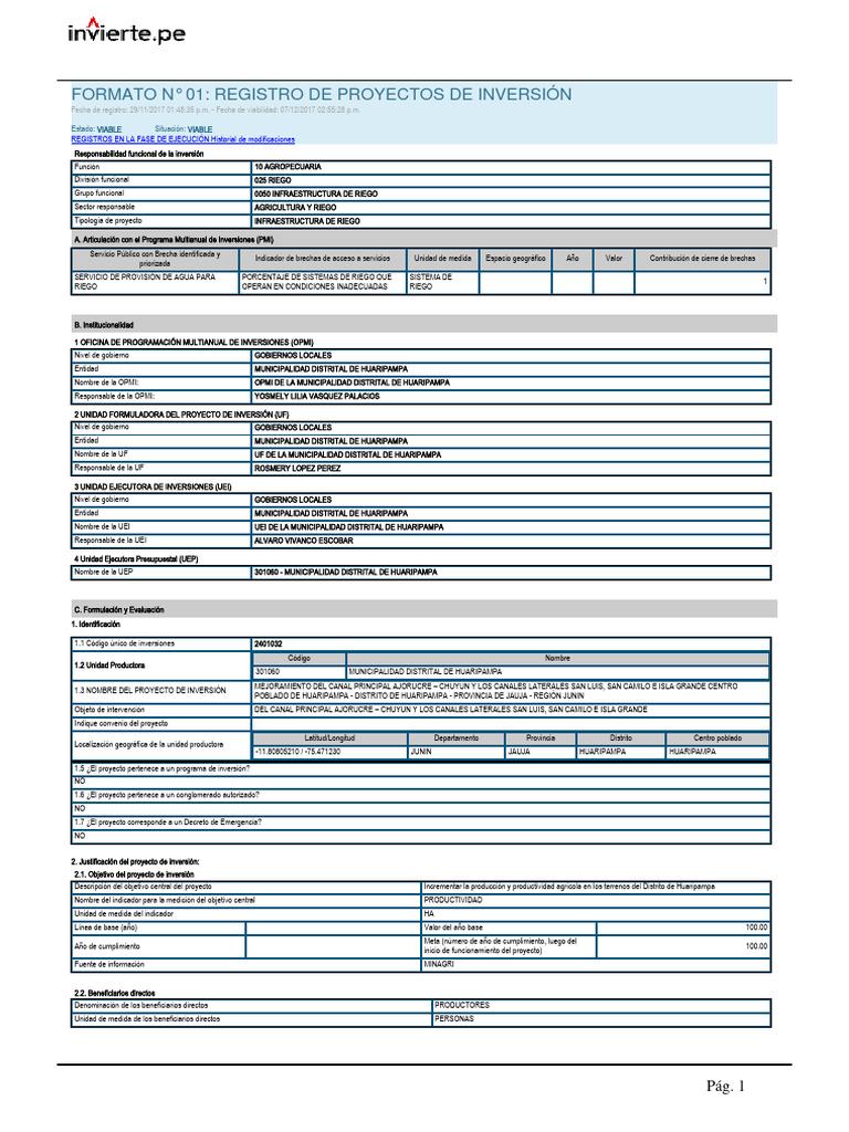INVIERTE PE FORMATO 01 Registro de Proyectos de Inversion | PDF | Infraestructura | Tasa interna ...