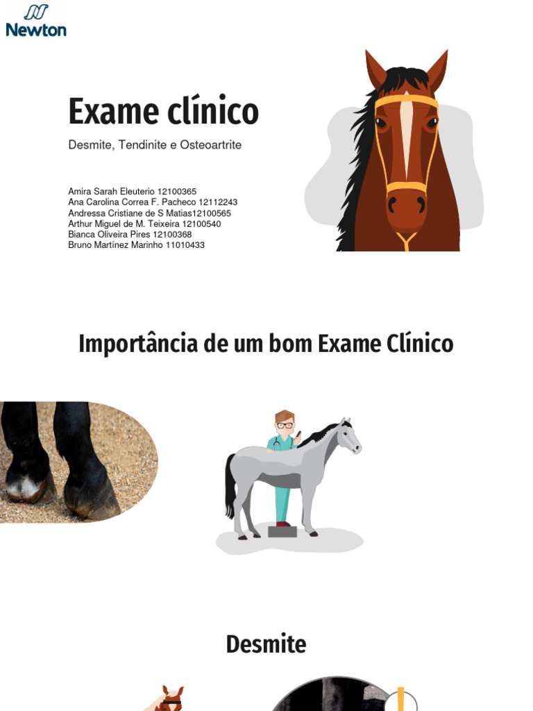 Exame Clínico de Desmite, Tendinite e Osteoartrite em Equinos | PDF ...
