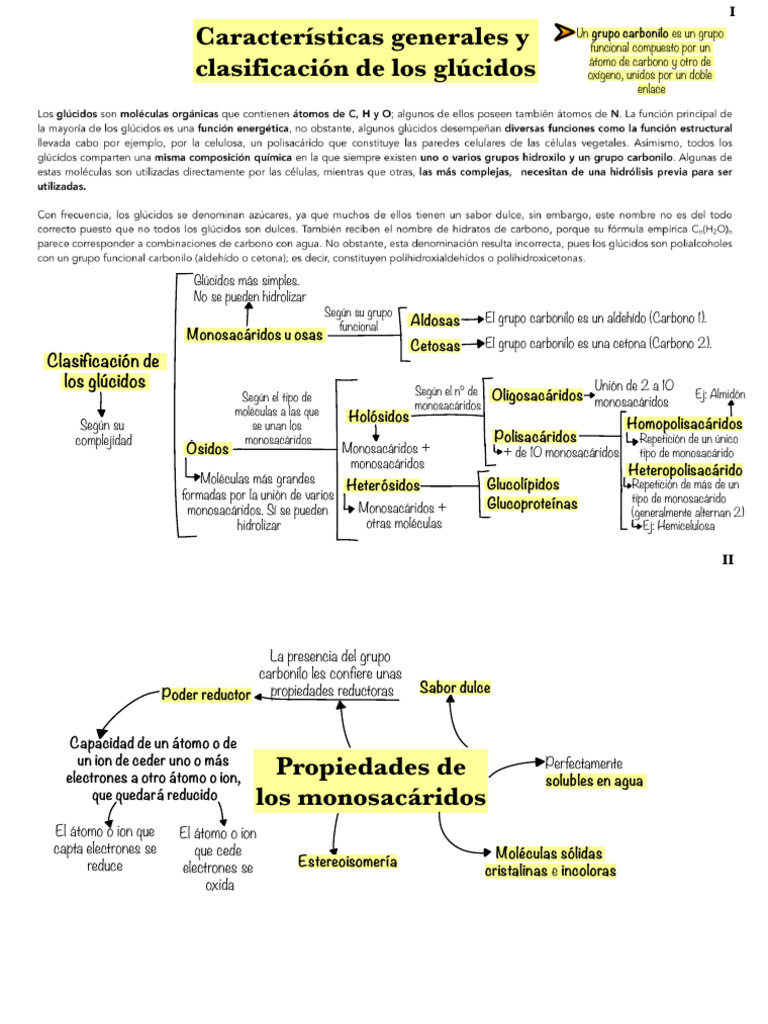 Glúcidos 1 | PDF