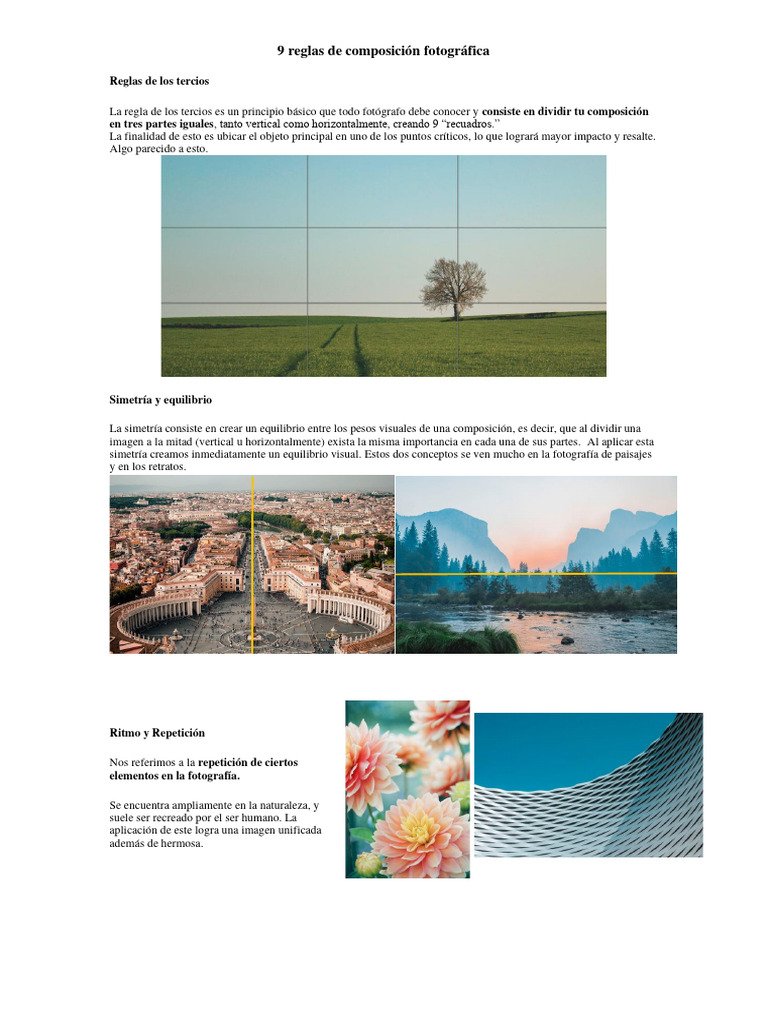 9 Reglas de Composición Fotográfica | PDF | Composición (artes visuales ...