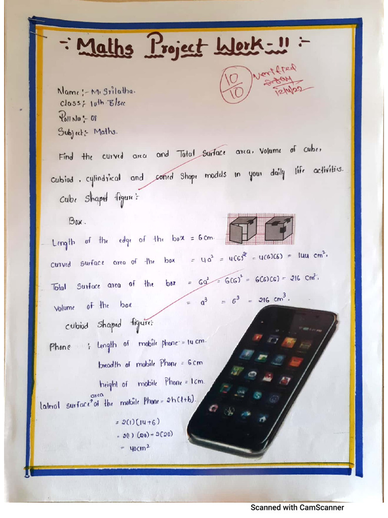 FA4 Maths Project | PDF