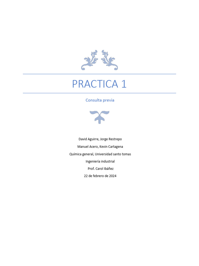 Practica 1. Consulta Previa | PDF