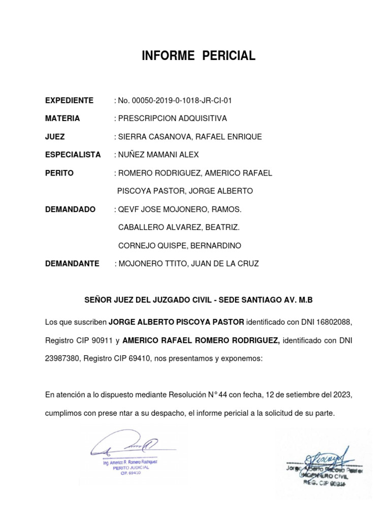 Informe Pericial - Tecnico | PDF