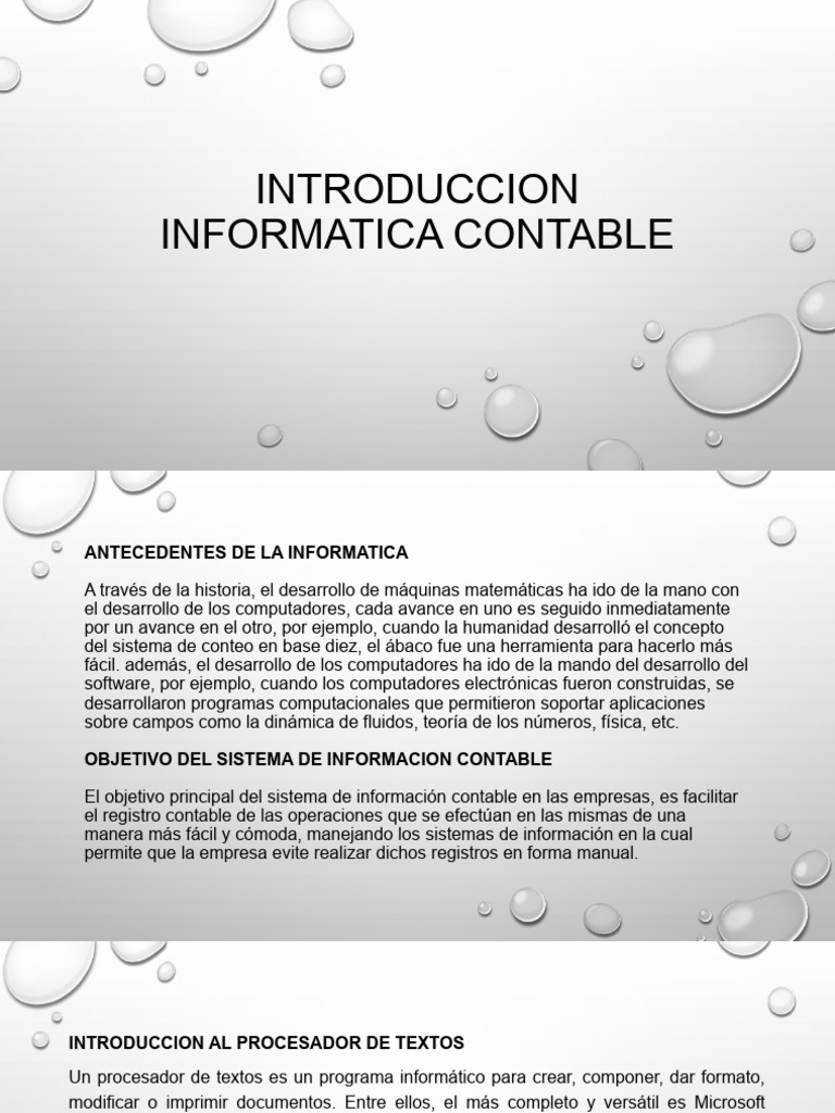 Tema 2 Introduccion a la informatica contable | PDF