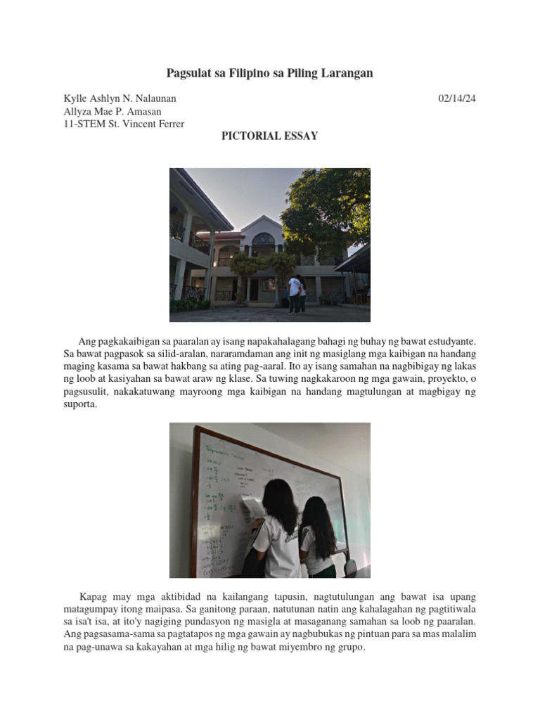 Pictorial Essay | PDF