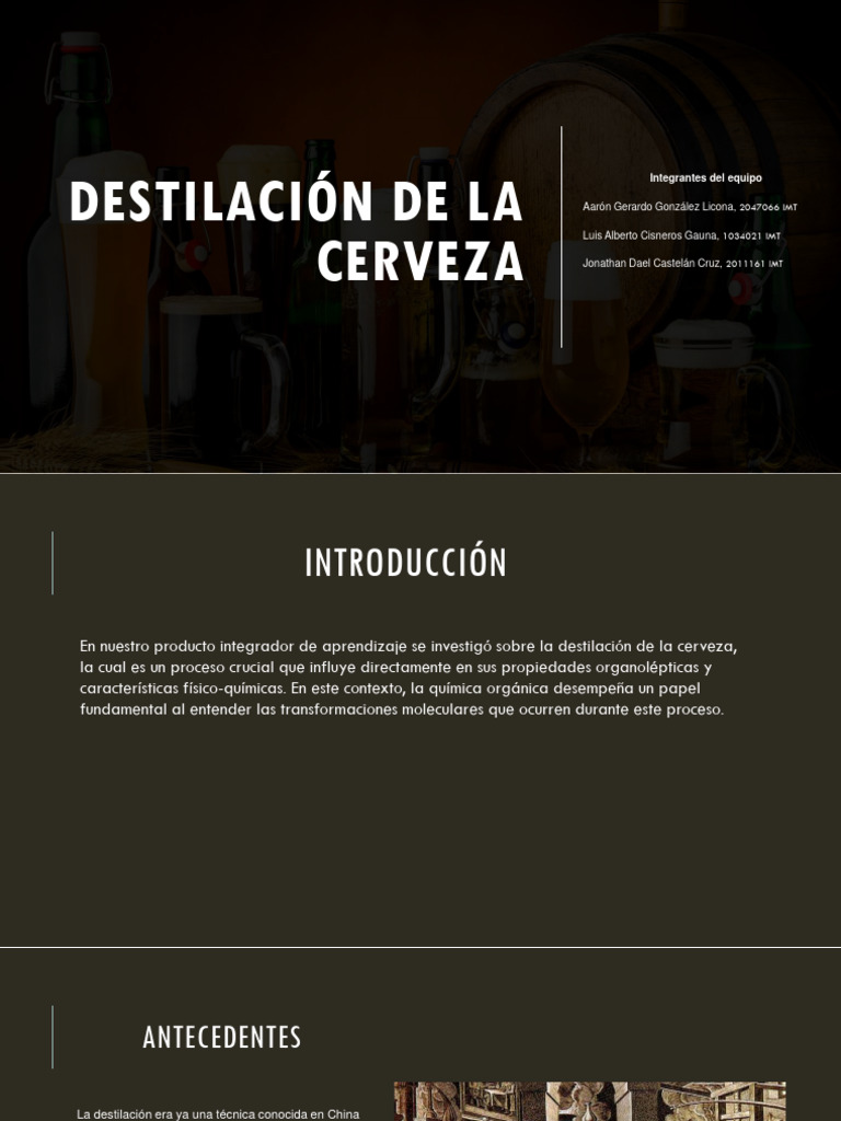 Cerveza | PDF