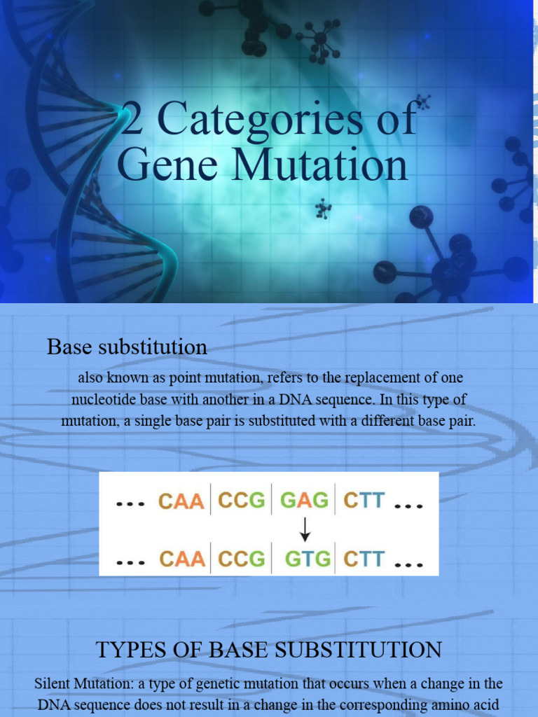 Gene Mutation Types Explained | PDF