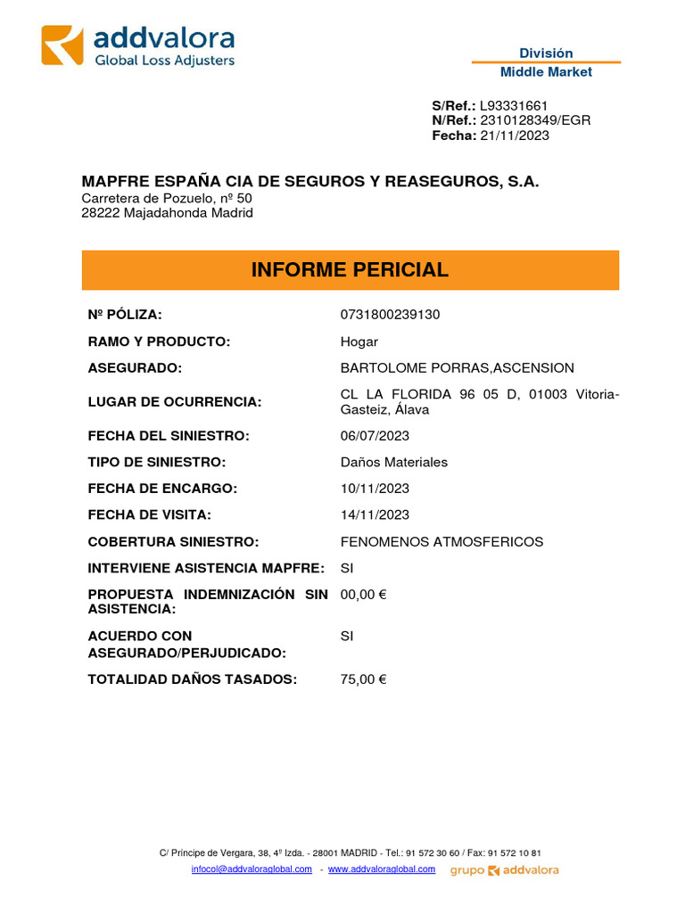 Informe Pericial | PDF