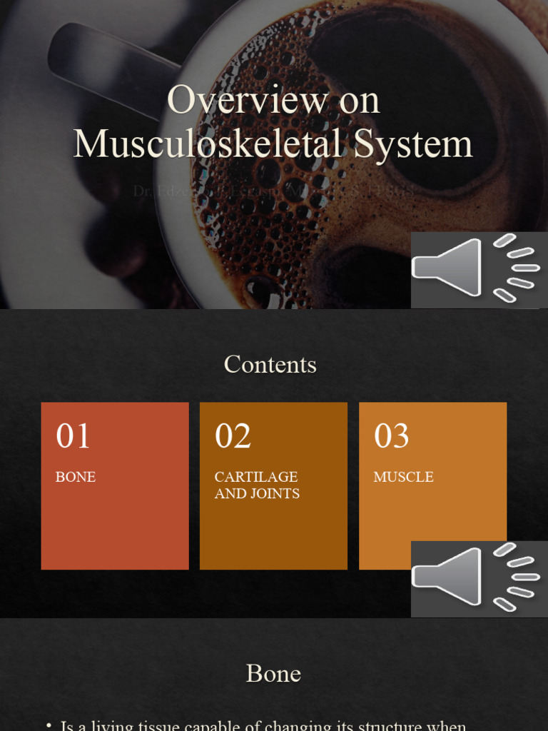Overview On Musculoskeletal System | PDF