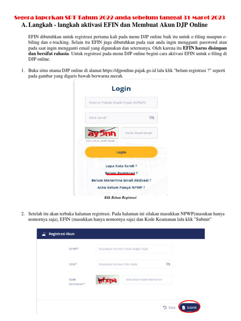 Langkah Aktifasi Efin & Lapor SPT 1770 SS 2022 | PDF