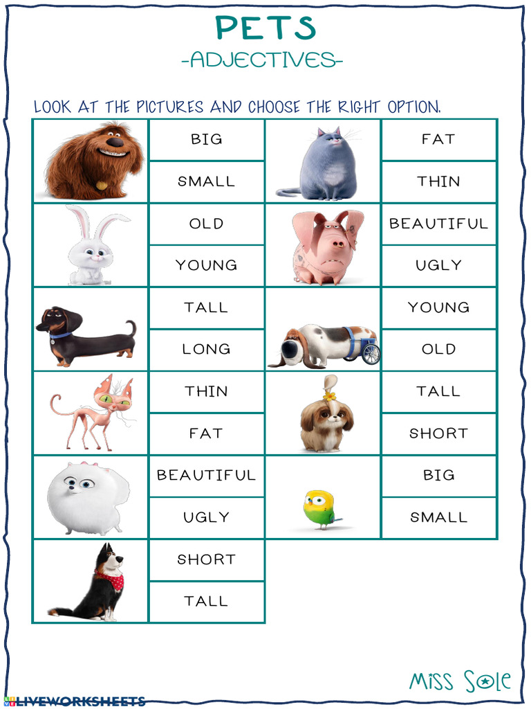 Adjective Selection for Pets | PDF