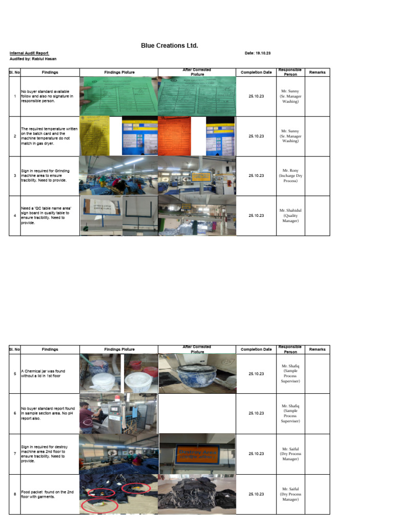 Internal Audit Findings Summary | PDF