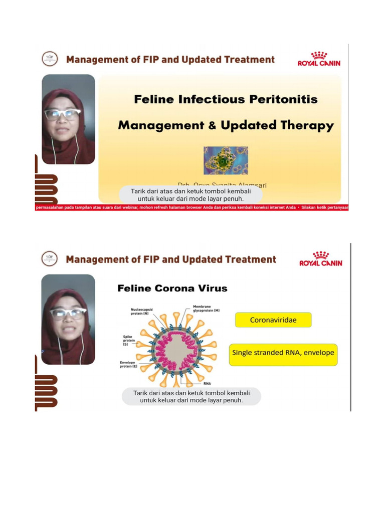 FIP Diagnostic and Treatment | PDF