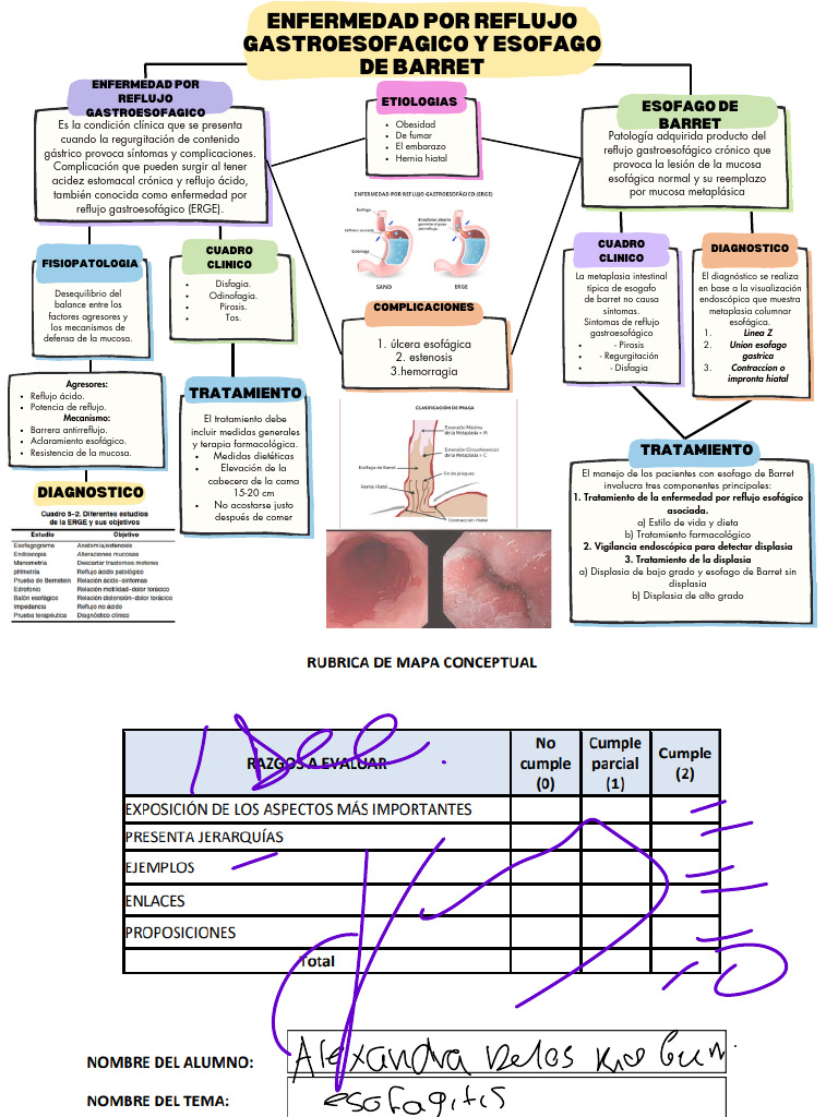 Mapa de Esofagitis | PDF | La enfermedad por reflujo gastroesofágico | Acidez
