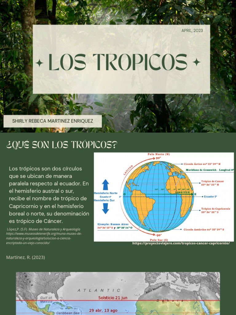 Tropico S | PDF
