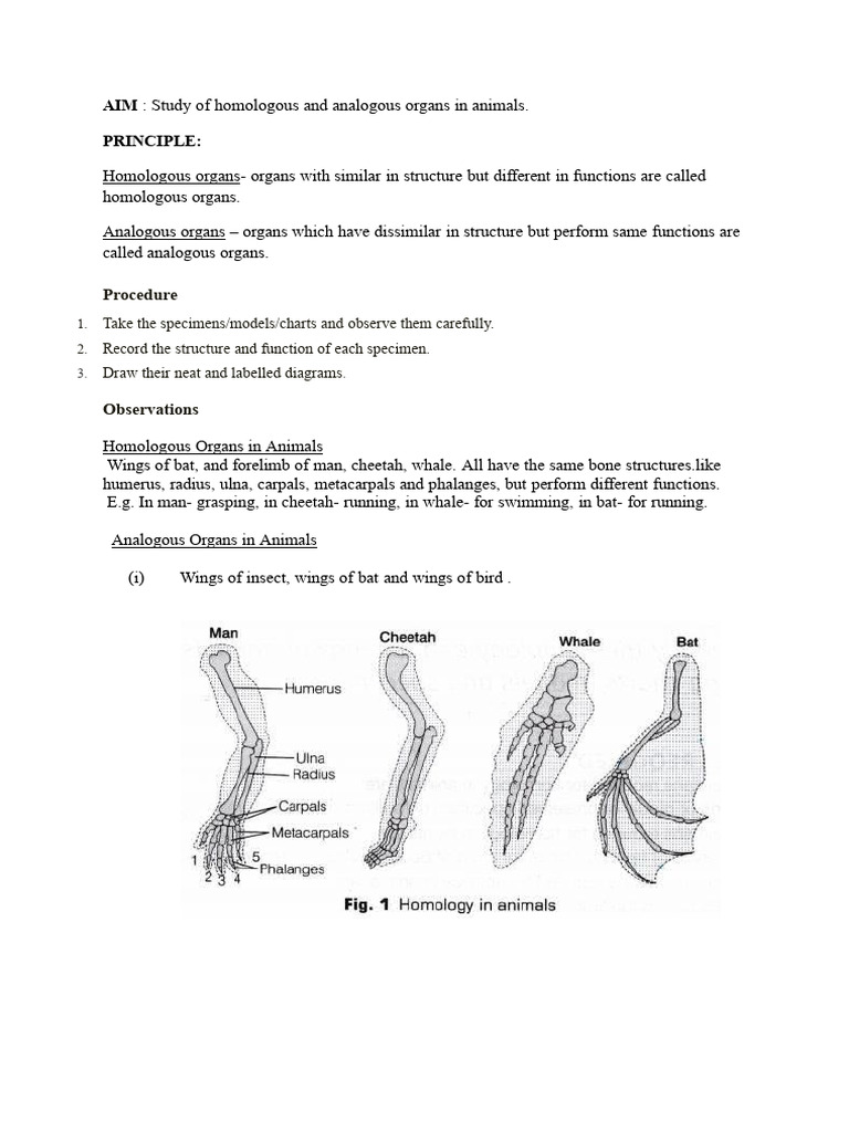 Study of Homologous and Analogous Organs. | PDF | Science & Mathematics