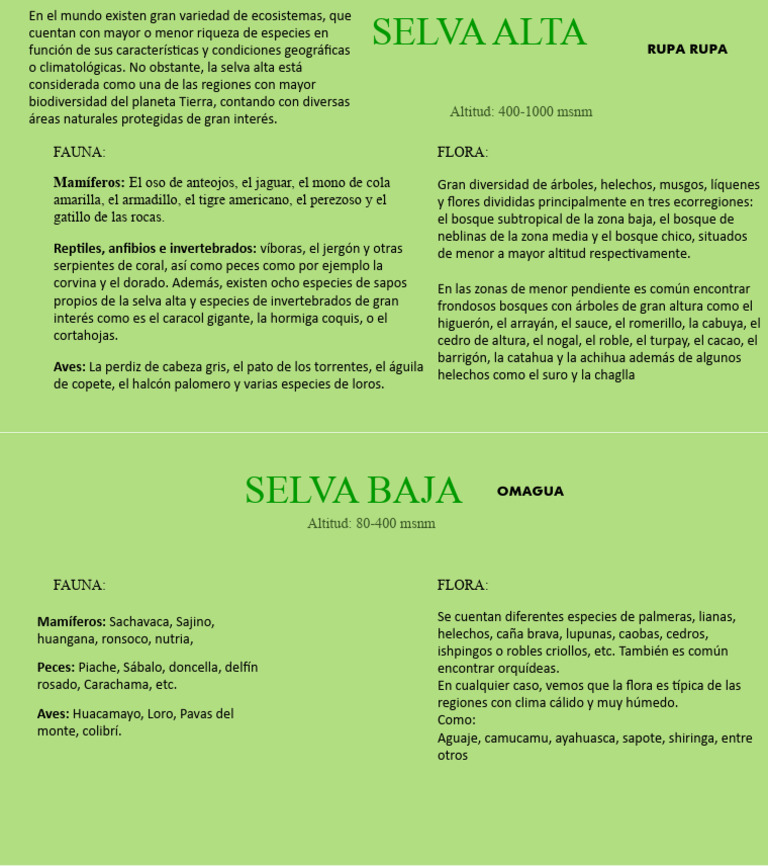 Selva | PDF | Selva | Organismos