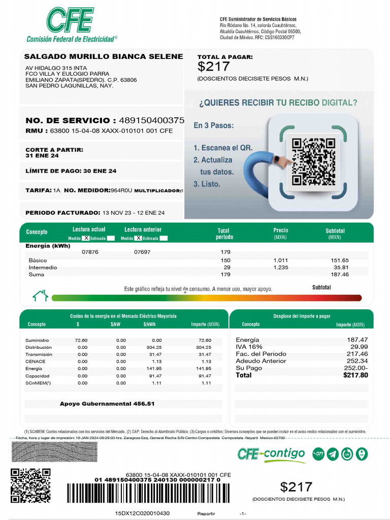 No. de Servicio:: Salgado Murillo Bianca Selene | PDF