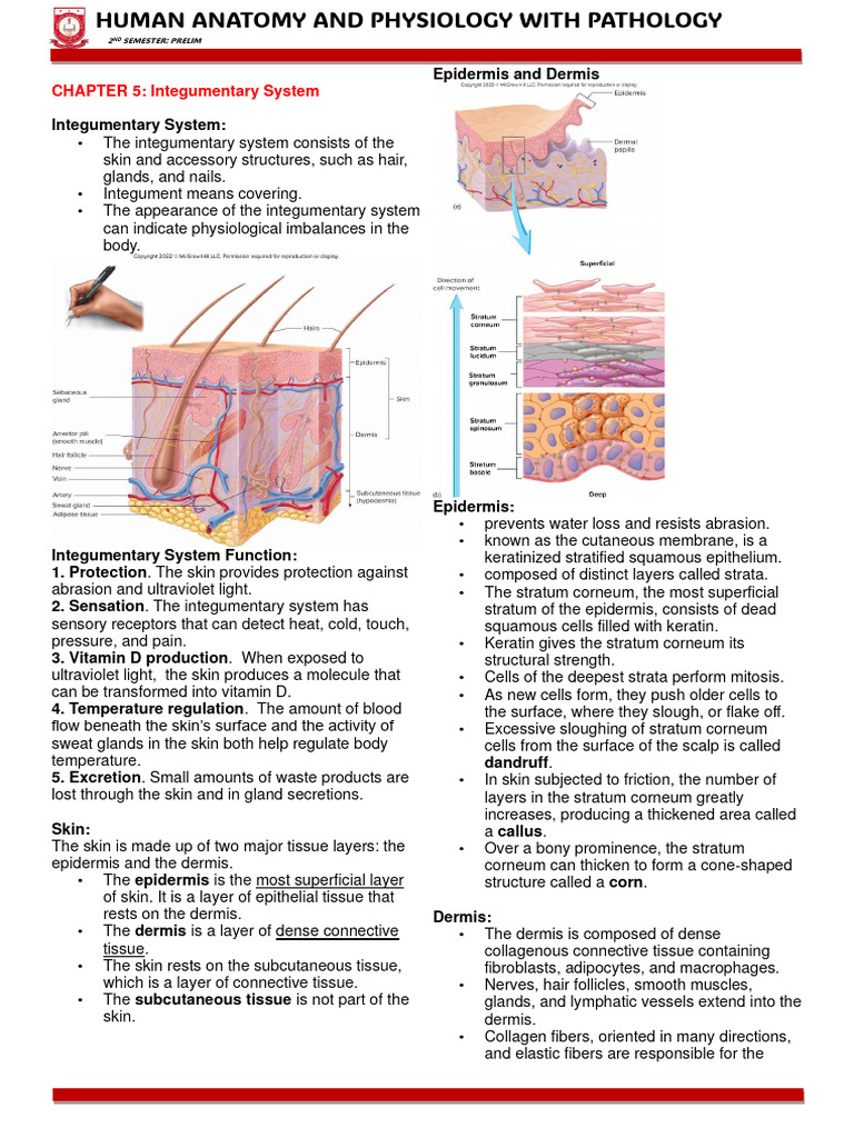 Happ Lec Chapter 5 | PDF
