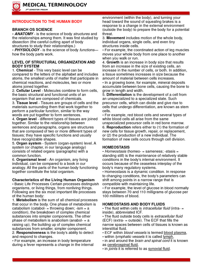 Medterm Notes | PDF | Epithelium | Anatomical Terms Of Location