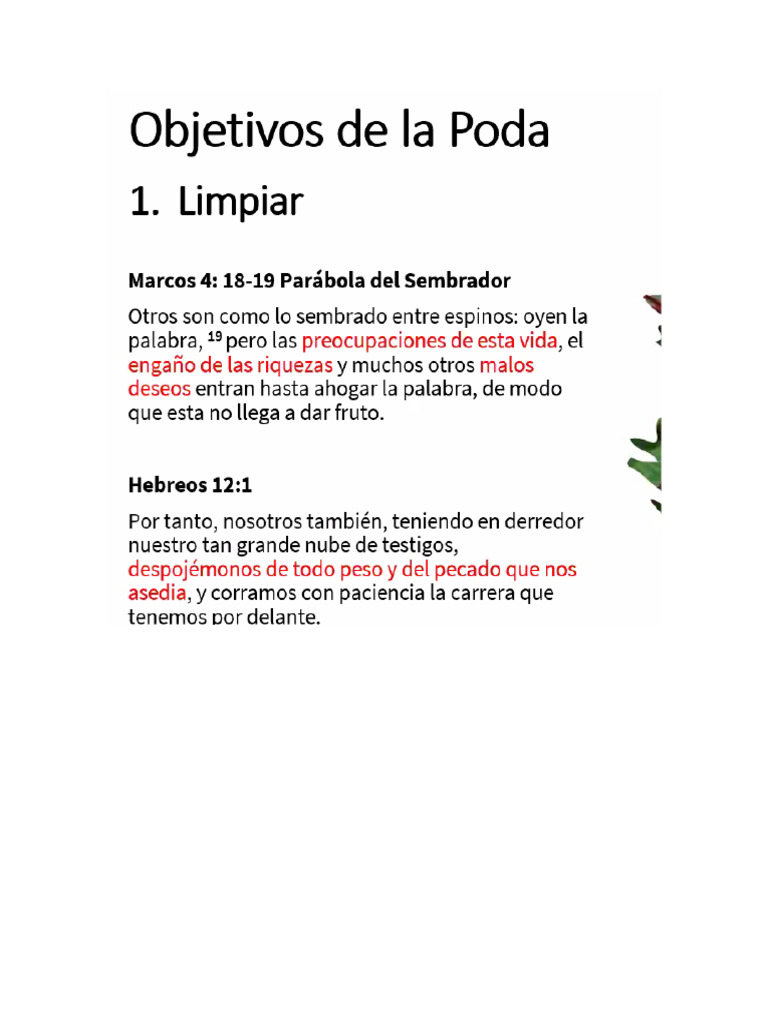 Objetivos de La Poda | PDF