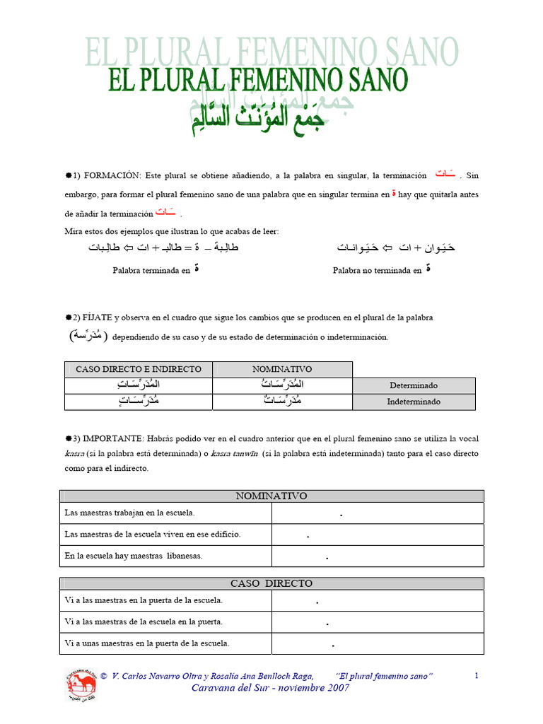 El Plural Femenino Sano Autor Carlos Navarro Oltra y Rosalía Ana ...