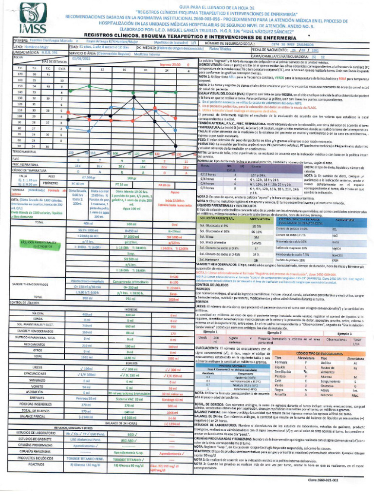 Manual de Llenado de La Hoja de Enfermería IMSS Nueva | PDF